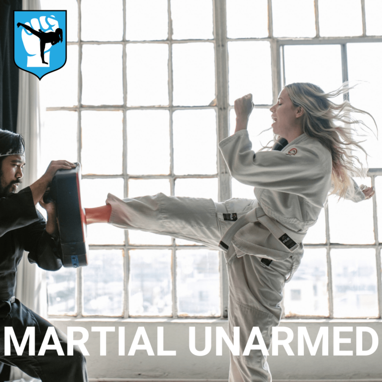 STAGE & SCREEN COMBAT – ID FIGHT – Home of stage & screen combat training